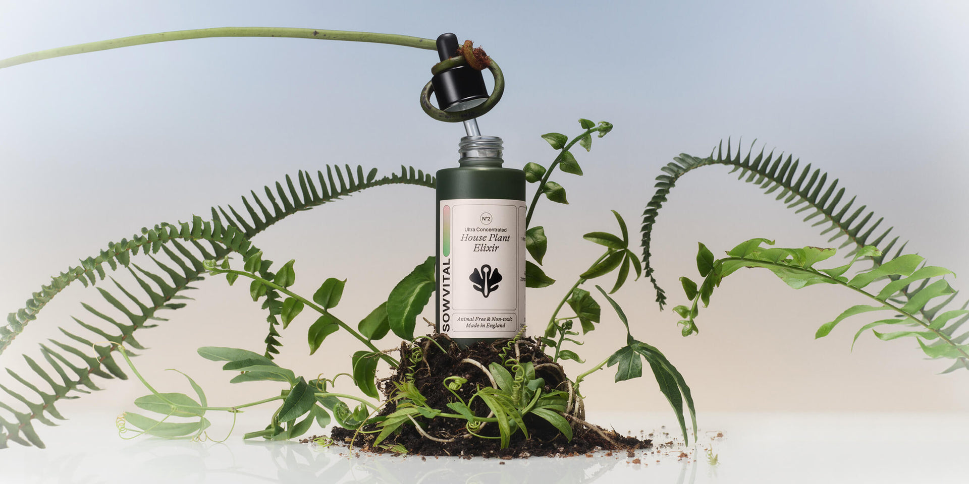 About Sowvital – SOWVITAL